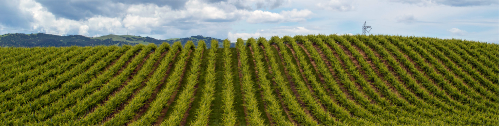 CAWG and Grow West Team up to Elevate Winegrape Advocacy